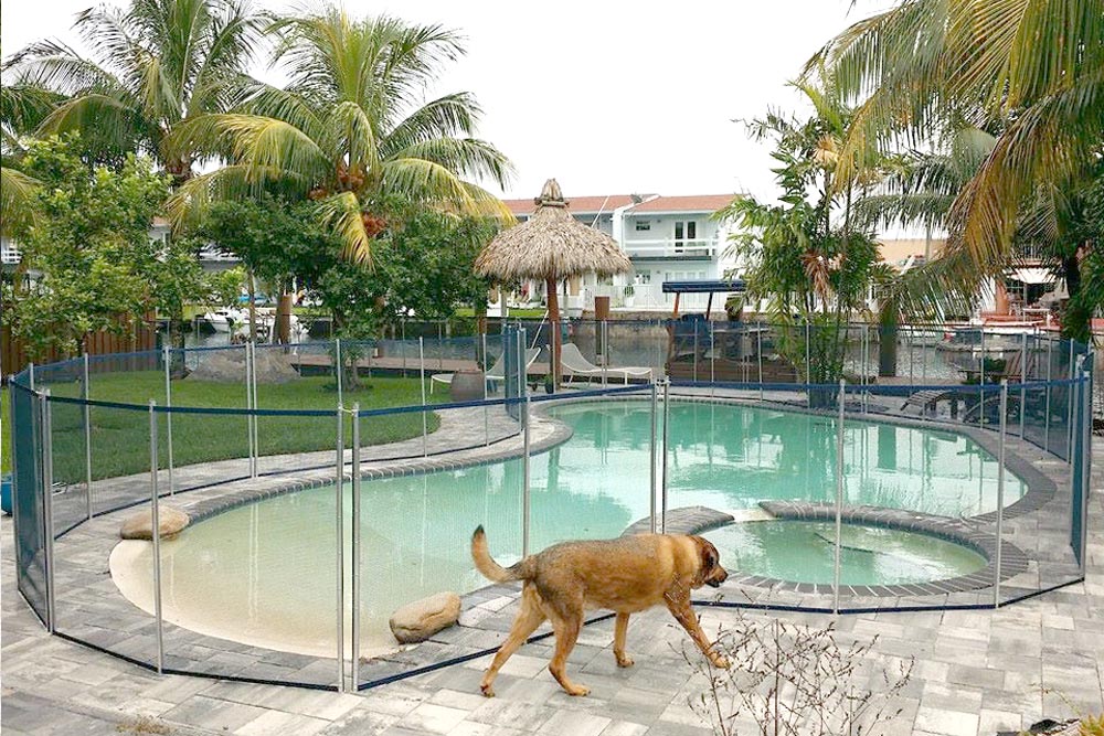 Pool Fencing Requirements NSW Thermo Pools Pool Fencing Requirements NSW Thermo Pools